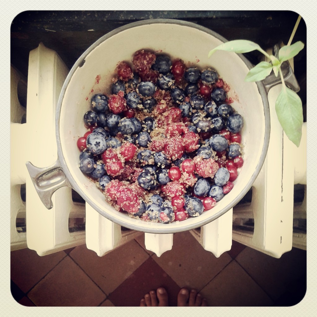 Confiture minute aux fruits de bois