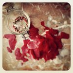 Pickles de betteraves